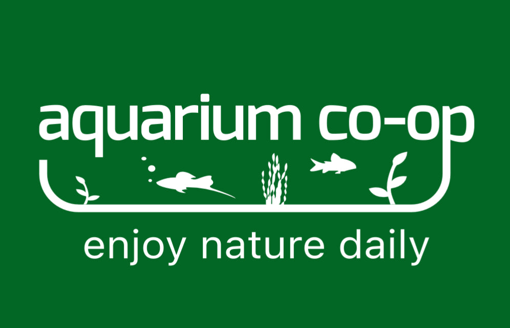 Aquarium co op products – THE EVOLVED FISH
